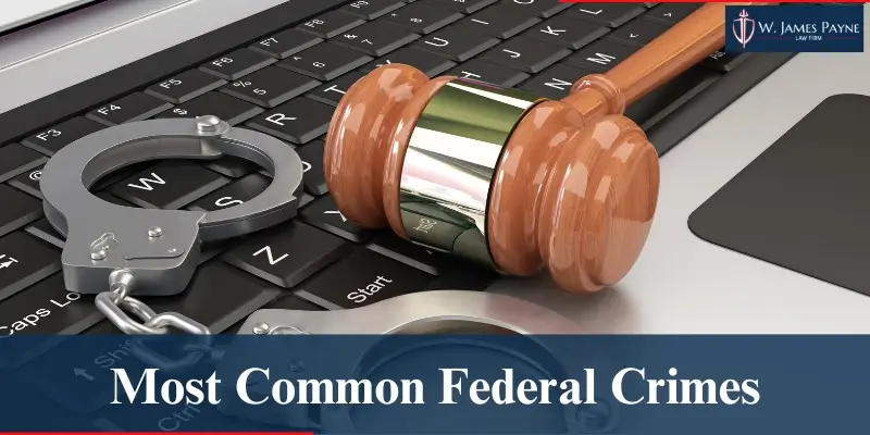 Most Common Federal Crimes With Examples [2025 Updated]